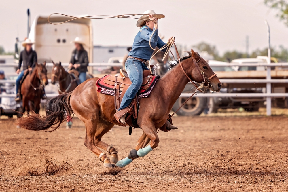 Road-Ready for Rodeo Season: Tips for Staying Safe on Your Way to the ...